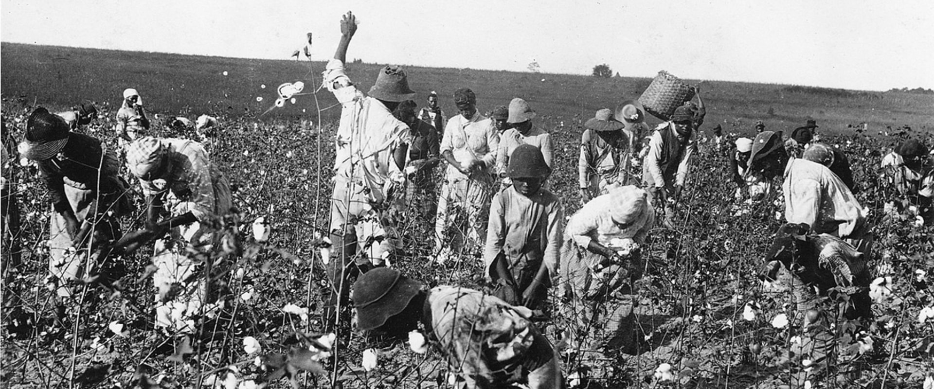 The Cruel Reality of Slavery in Broward County, Florida