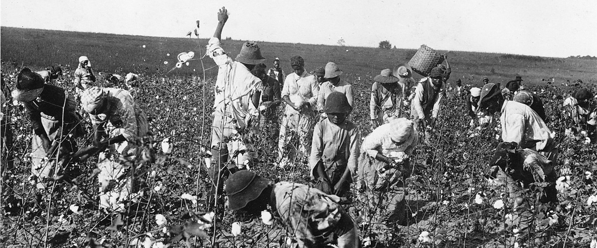 The Impact of the Civil War on Plantations in Broward County, FL: A ...